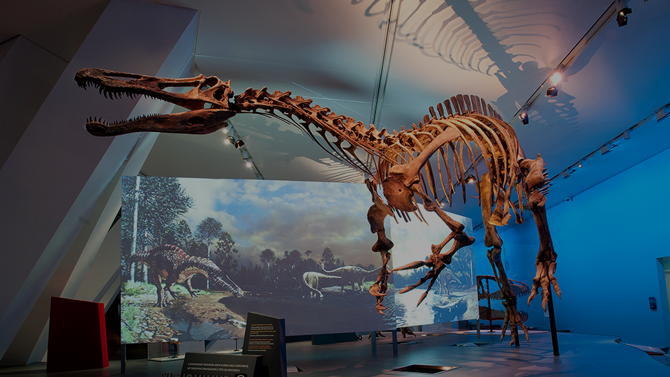 Exhibit Rental: Ultimate Dinosaurs